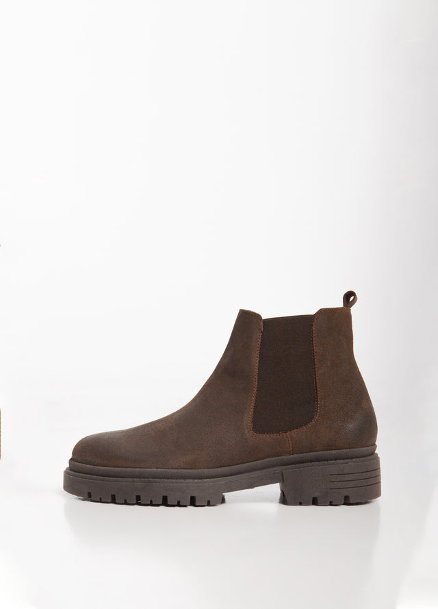 BOTAS – THORO 650